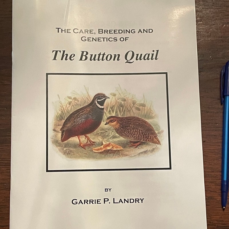 Quail Stickers - Etsy
