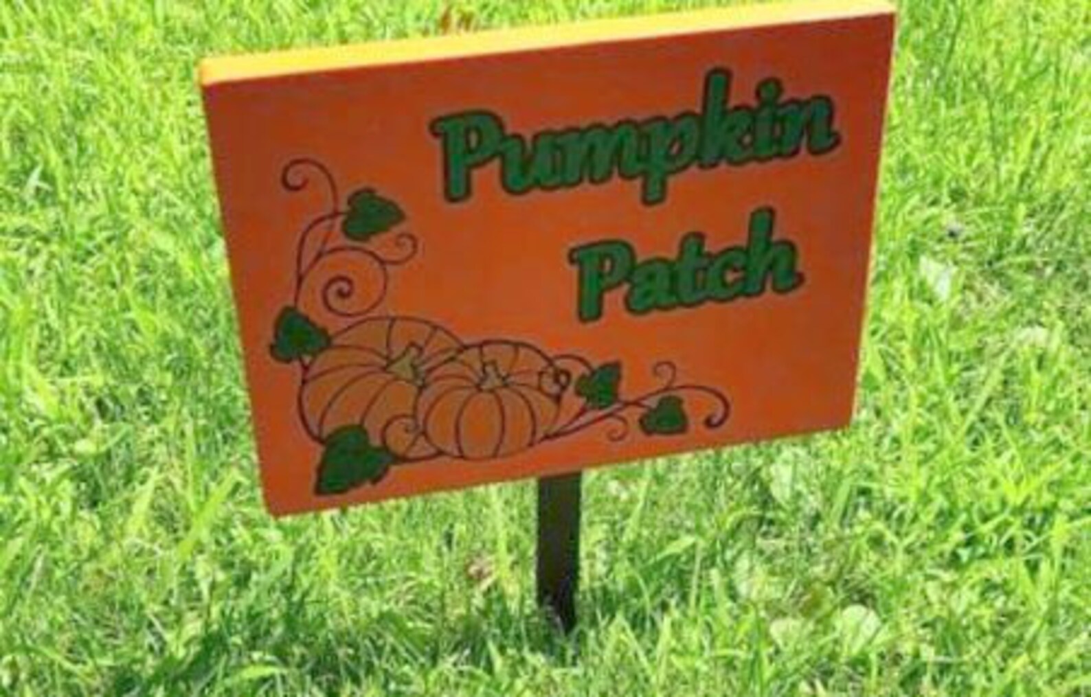 Pumpkin Patch Pumpkin Sign Custom Wood Sign Punkin Patch - Etsy