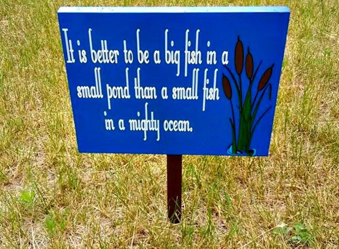 Pond Sign Fisherman Gift Pond Decor Pond Decoration Fish - Etsy Ireland