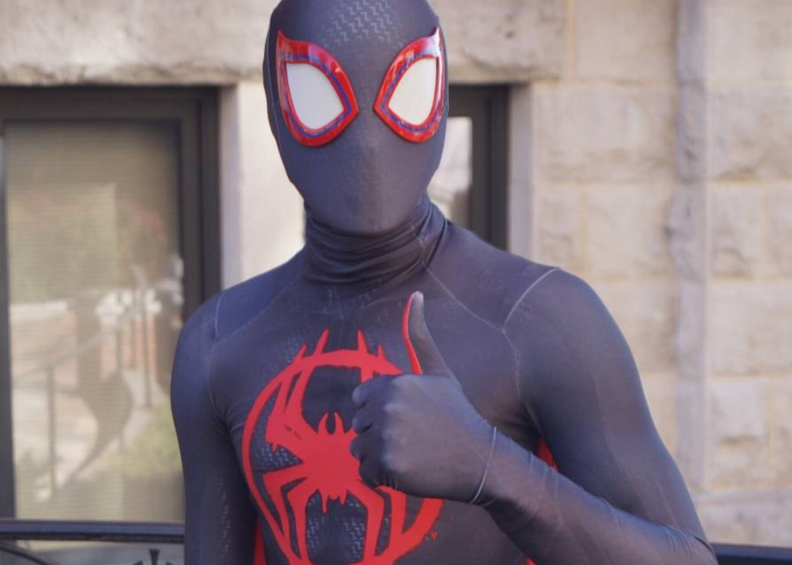 The Marvel Miles Morales Across the Spider Verse Pattern 3D - Etsy