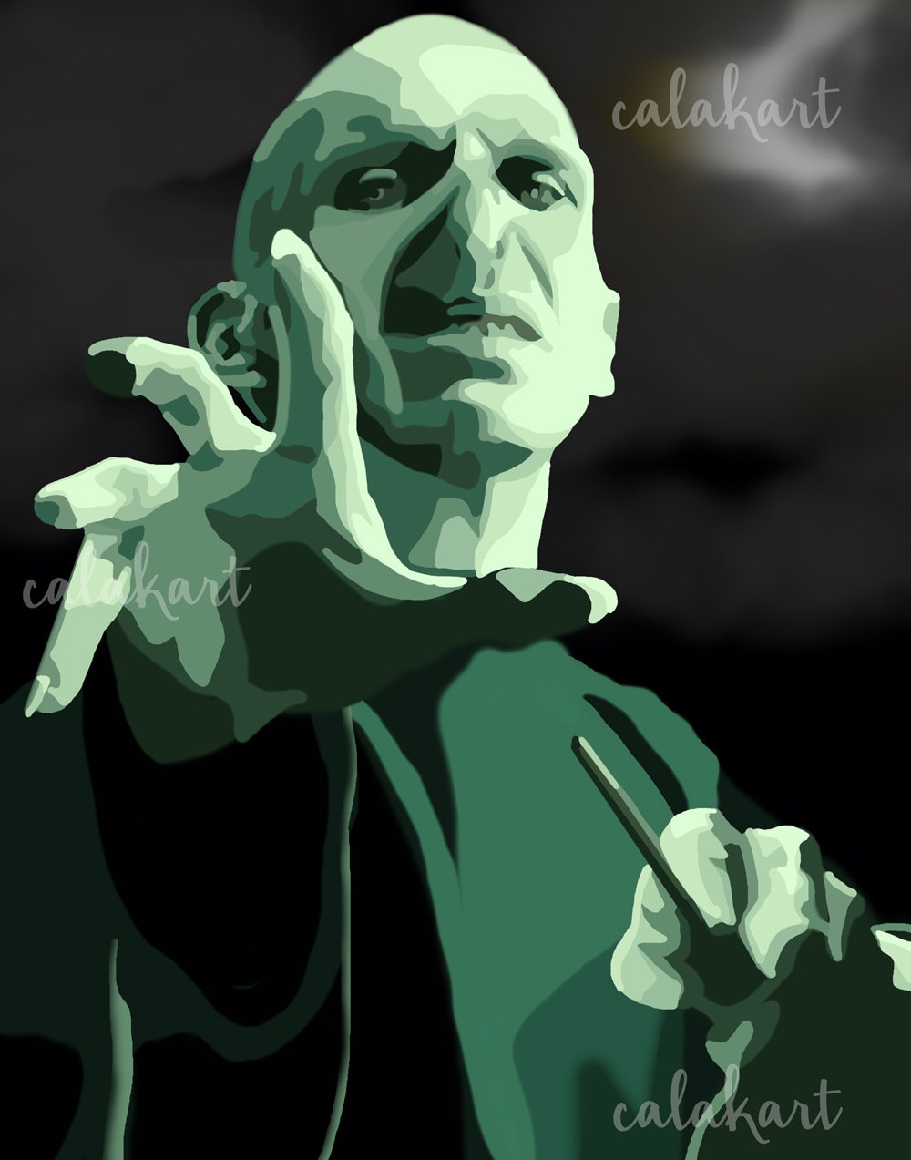 VOLDEMORT Harry Potter Digital Drawing 11x14 Poster Print | Etsy