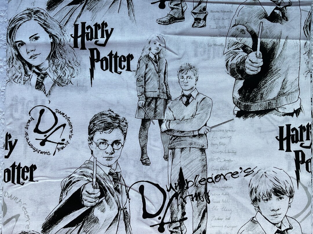 Harry Potter Ron & Hermione Dumbledore's Army Sketched Characters ...