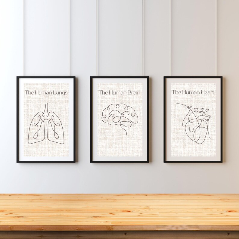 Anatomical Heart, Lungs, Brain Line Art Print Set (digital Download) - Etsy