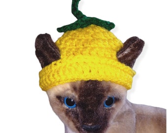 Dog Lemon Costume - Etsy