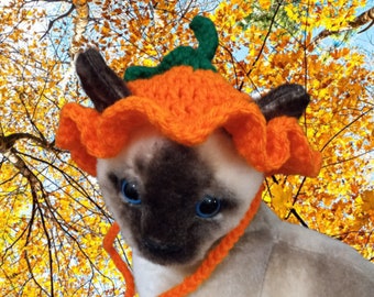Pumpkin Hat for Cat Halloween Pet Costume Fall Kitten - Etsy