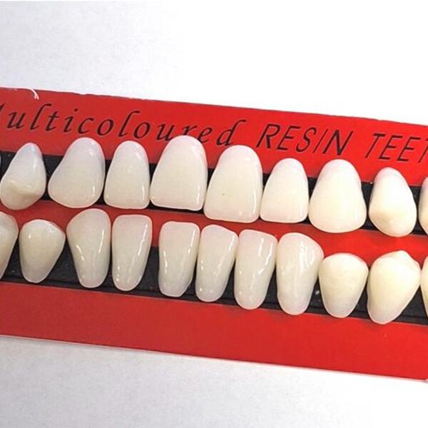 Fake Human Teeth - Etsy