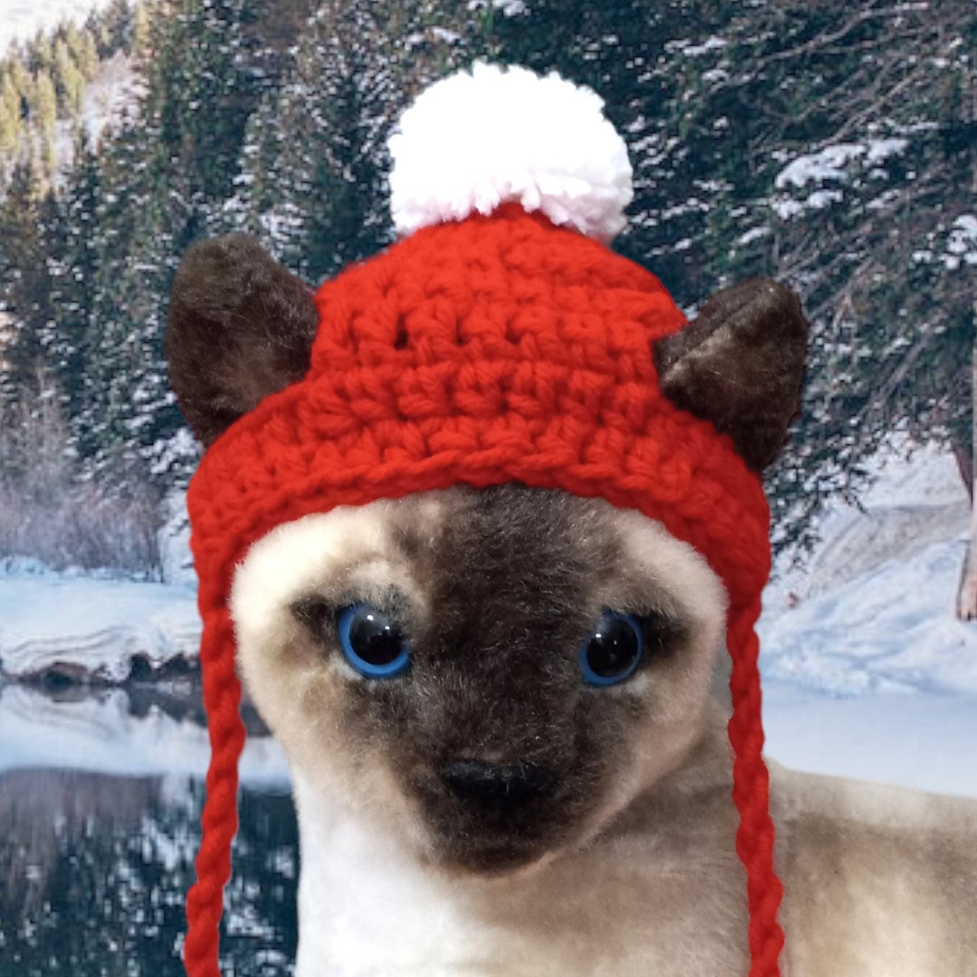 Hat With Pom Pom for Cat, Small Dog or Kitten Your Choice of Color ...