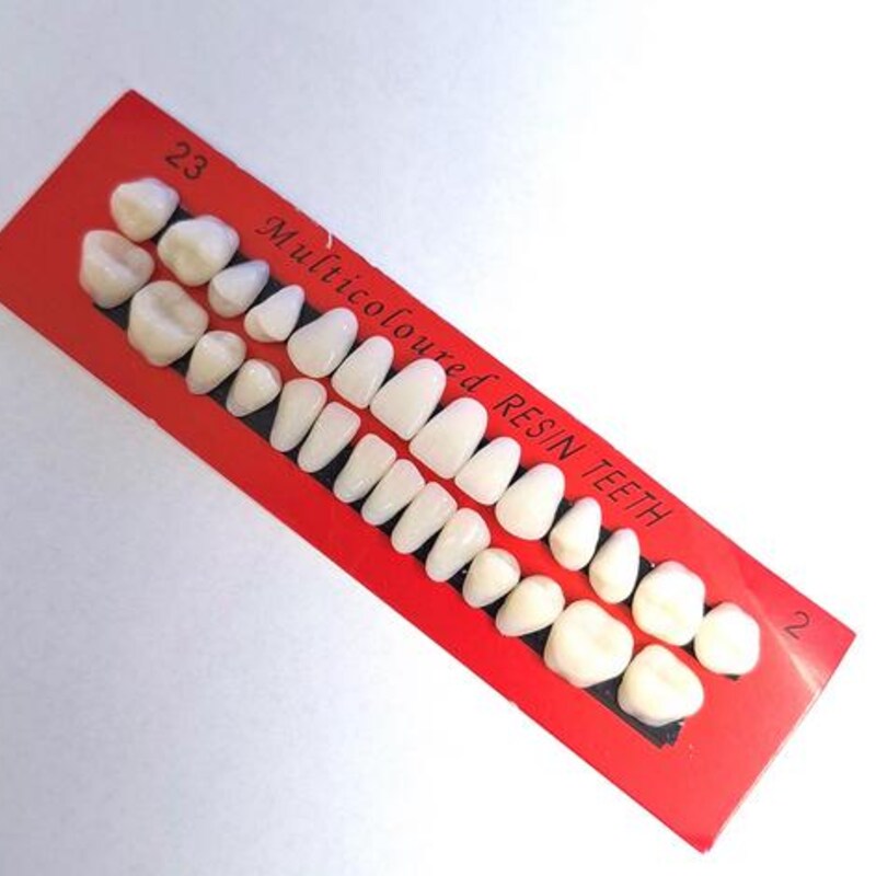 Fake Human Teeth - Etsy