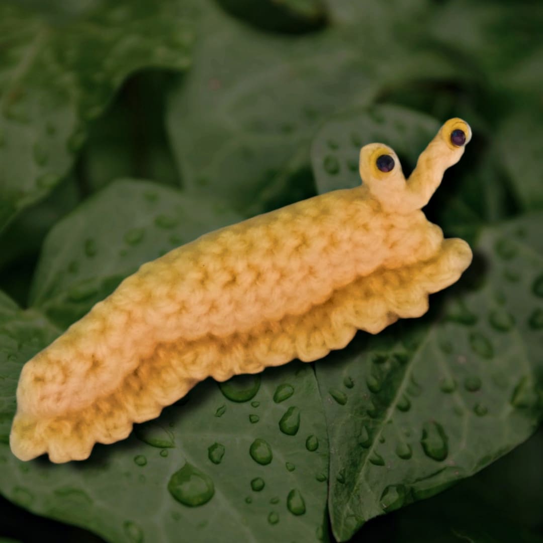 Banana Slug Crocheted Slug Pet - Etsy