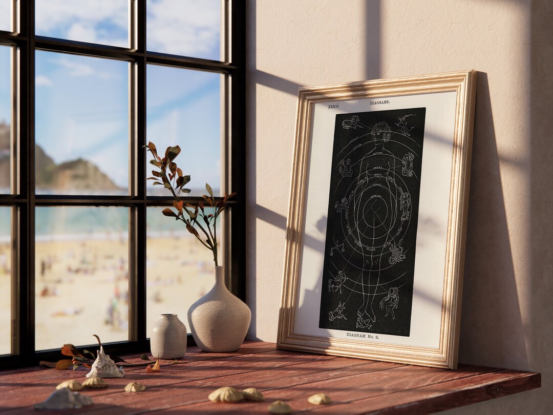 Vintage Star Sign Body Wall Print | Digital Print | Astrology Diagram ...