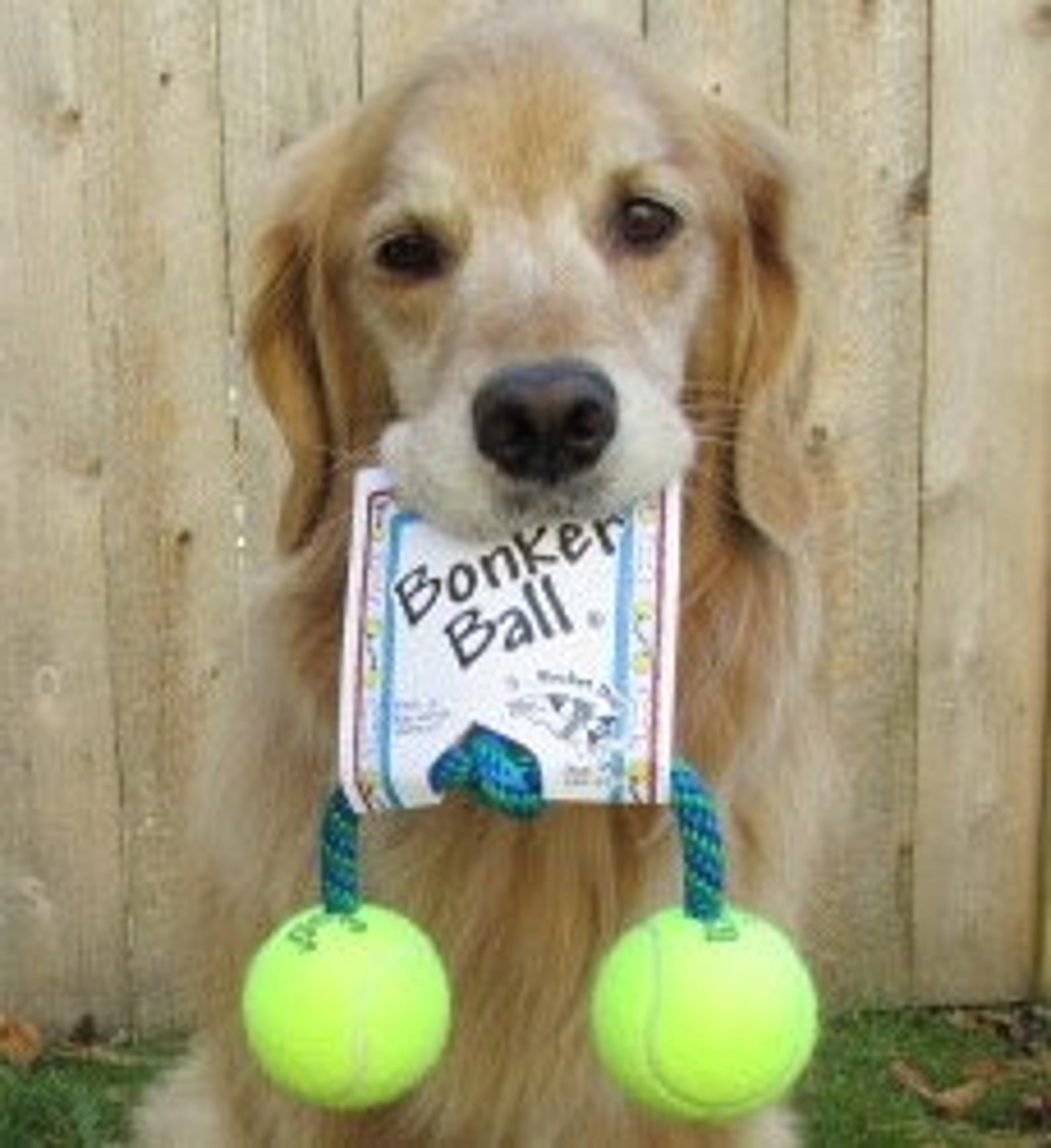Bonker Ball - Etsy