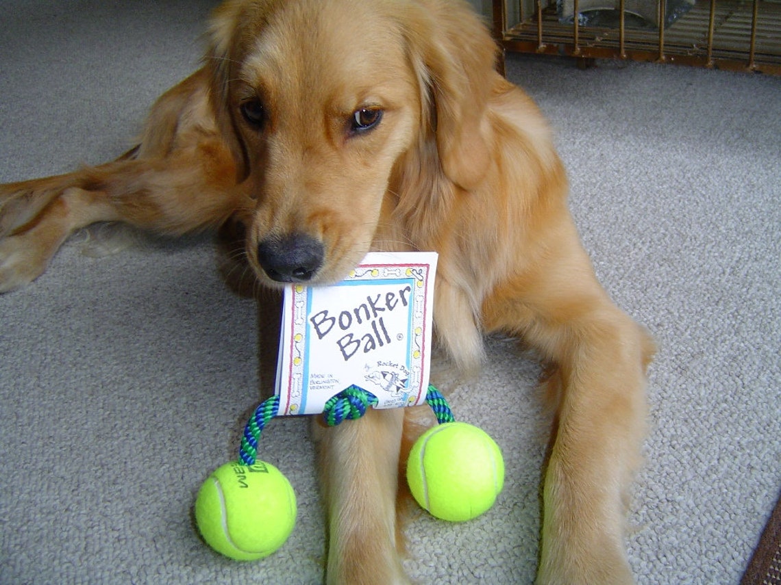 Bonker Ball - Etsy