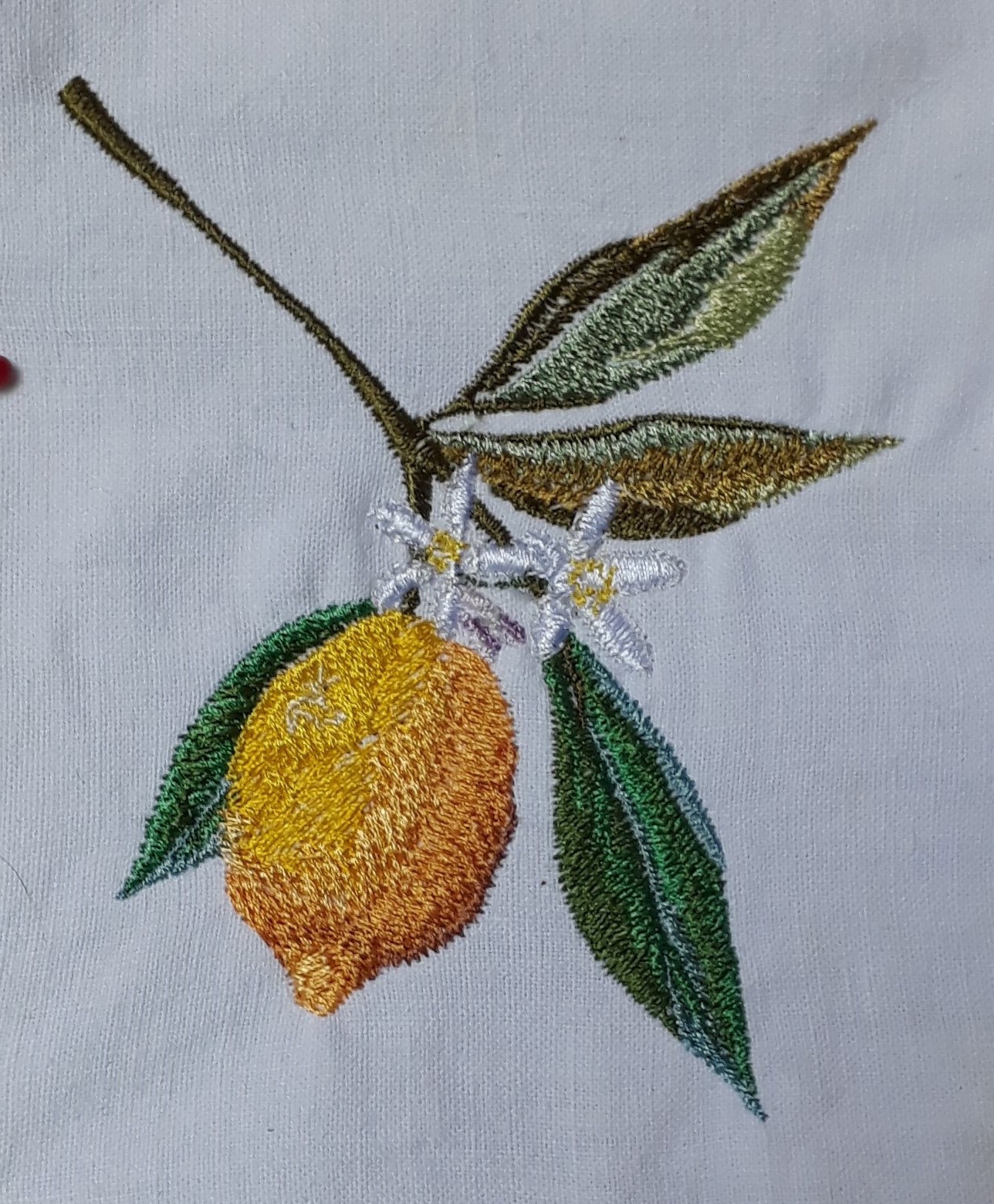 Lemon Tree Branch Embroidery for Embroidery Machine - Etsy