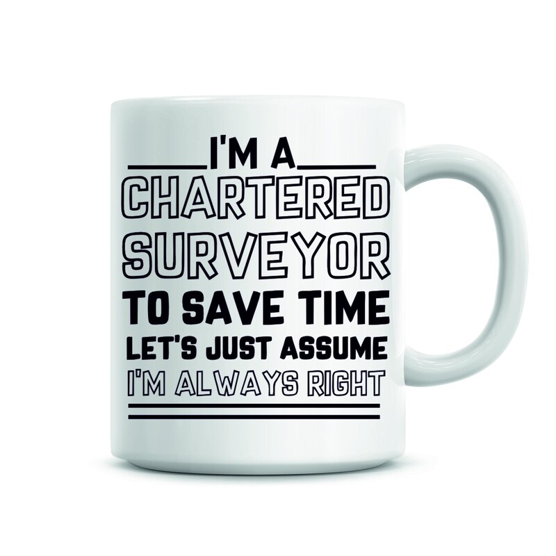Surveyor - Etsy