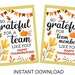 So Thankful for Team Members Like You Gift Tags Printable / Printable ...
