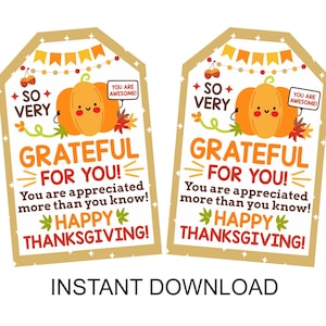 Thanksgiving Appreciation Tag Printable / Thanksgiving Appreciation ...