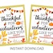 Thanksgiving Volunteer Tag Printable / Printable Thanksgiving Volunteer ...