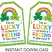 Lucky to Have a Friend Like You Tag Printable / St. Patrick's Day ...