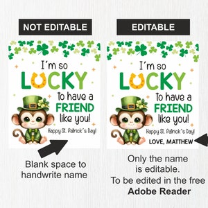 Editable St. Patrick's Day Kids Classroom Gift Tags / St. Patrick's Day ...