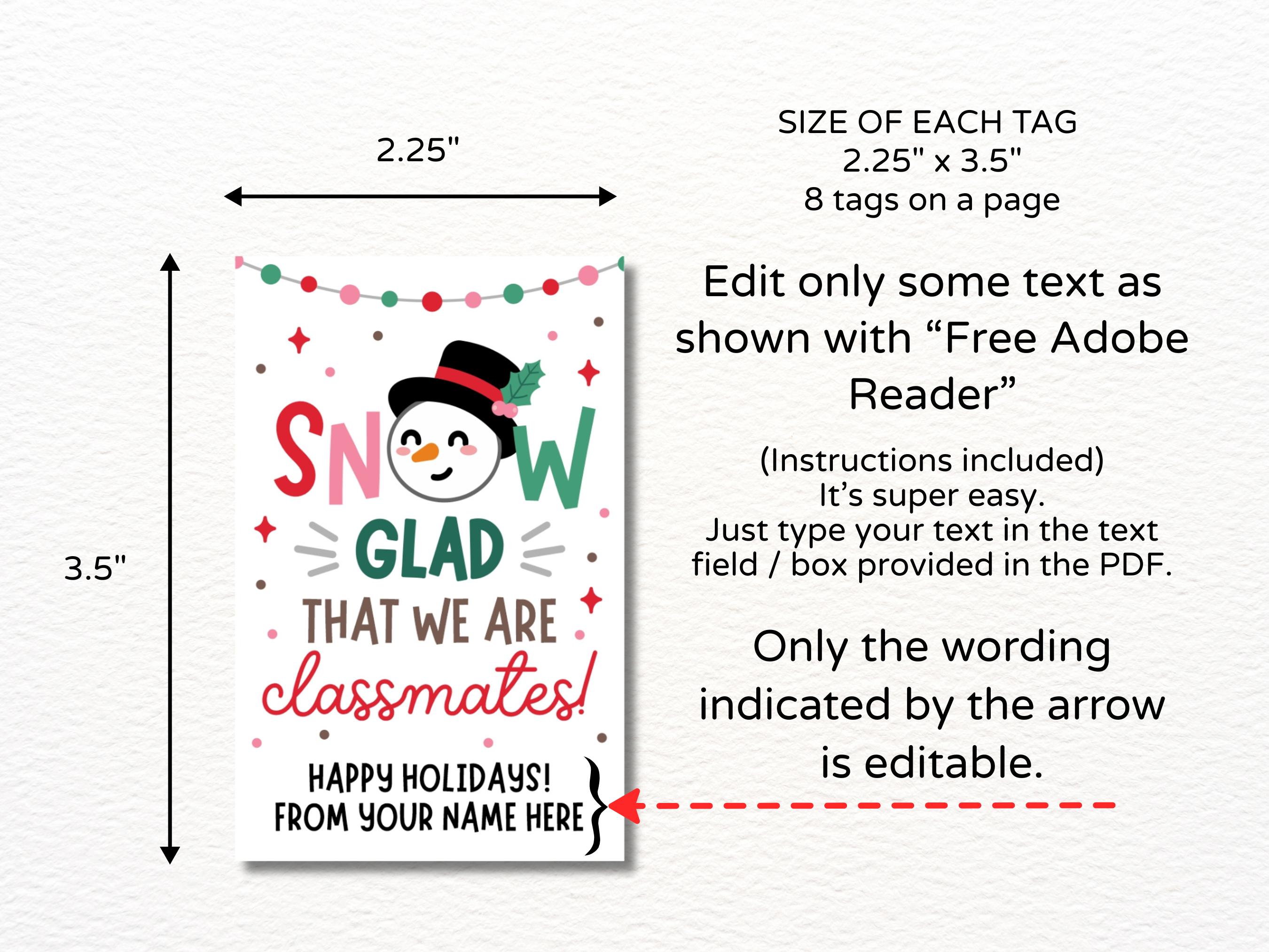 Christmas Classmate Tag / Christmas Classroom Gift Tag / Snow Glad We ...