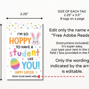 Easter Student Tags Printable / Easter Student Gift Tag / Hoppy to Have ...