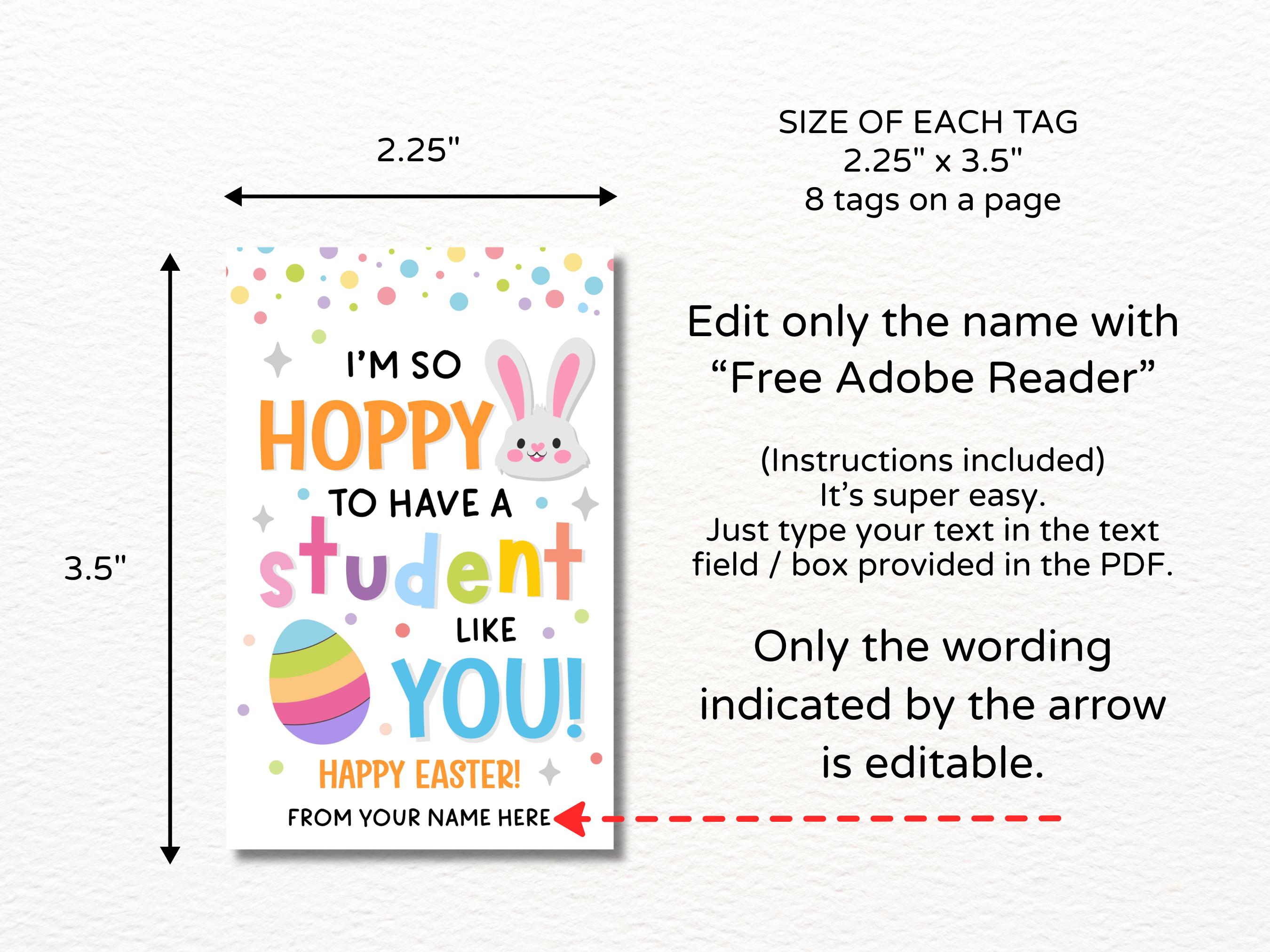 Easter Student Tags Printable / Easter Student Gift Tag / Hoppy to Have ...