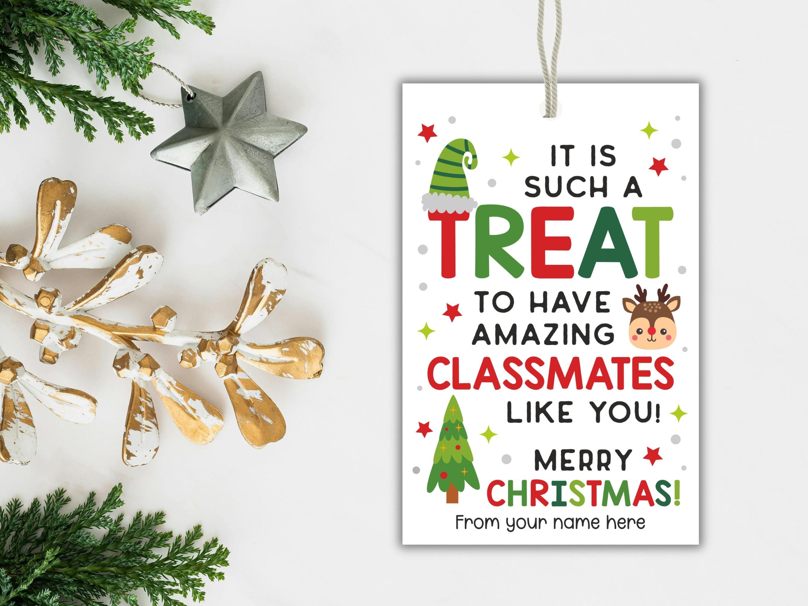 Christmas Classmate Gift Tags Printable / Christmas Class Tag ...