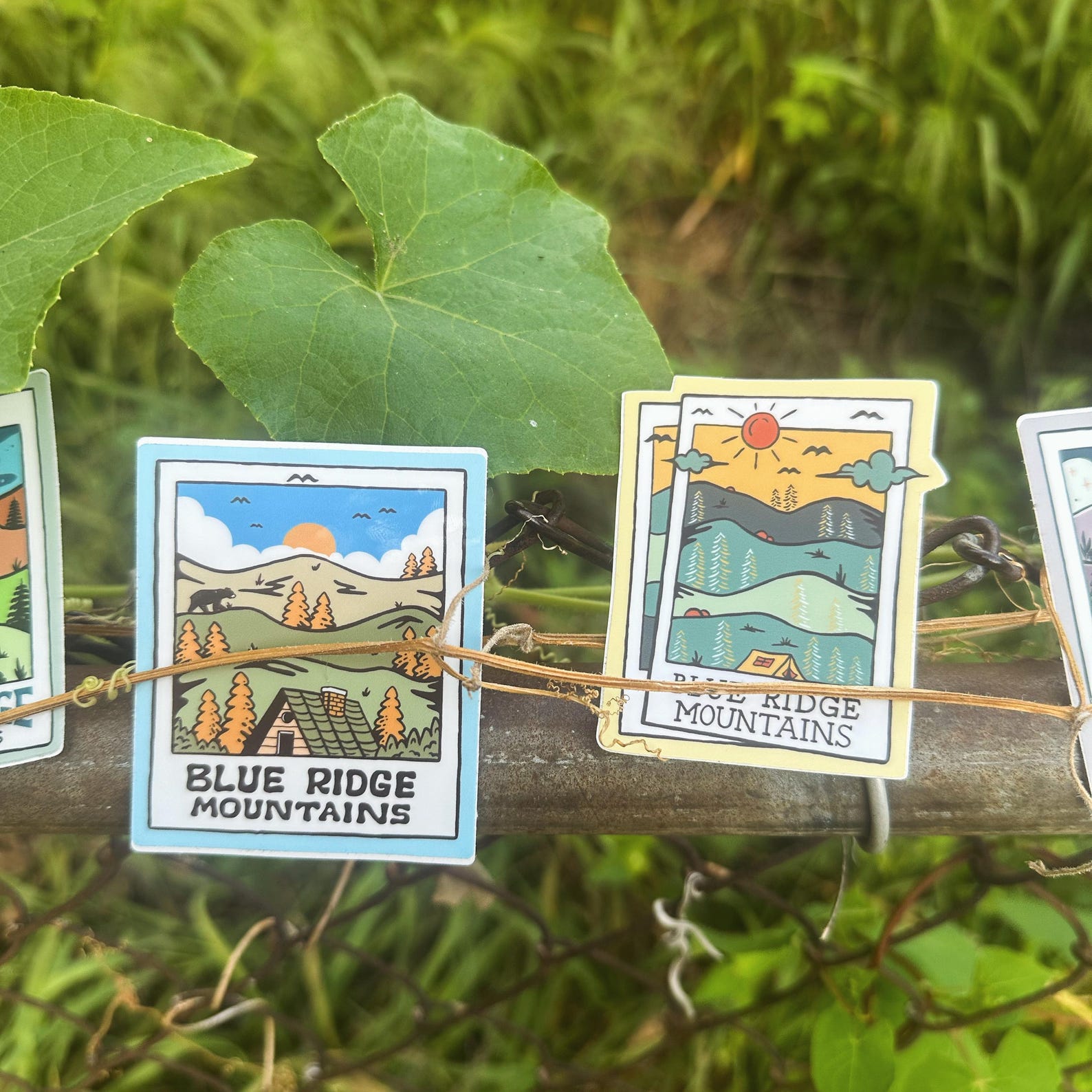 BLUE RIDGE PICTURE 4 Pack // Weatherproof Vinyl Stickers // Water ...