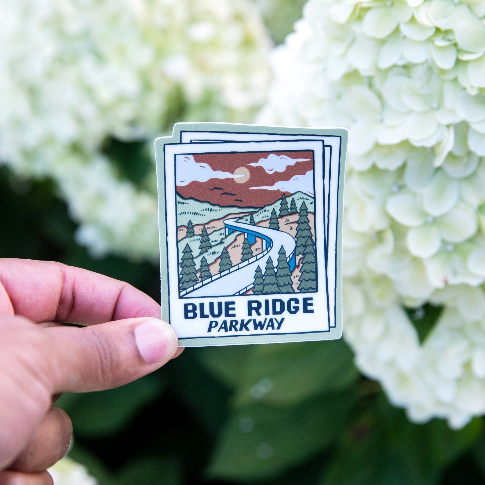 BLUE RIDGE PICTURE 4 Pack // Weatherproof Vinyl Stickers // Water ...