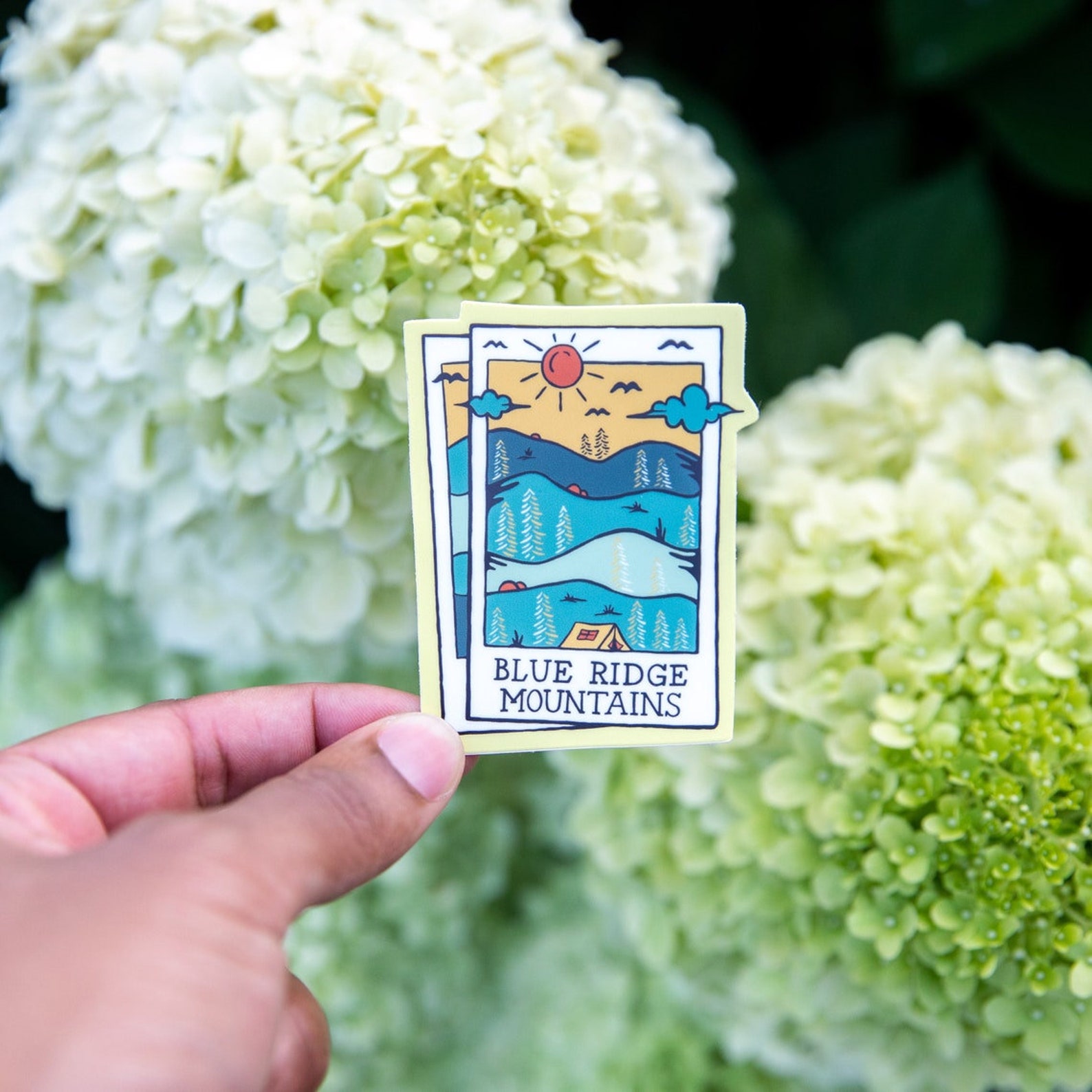 BLUE RIDGE PICTURE 4 Pack // Weatherproof Vinyl Stickers // Water ...