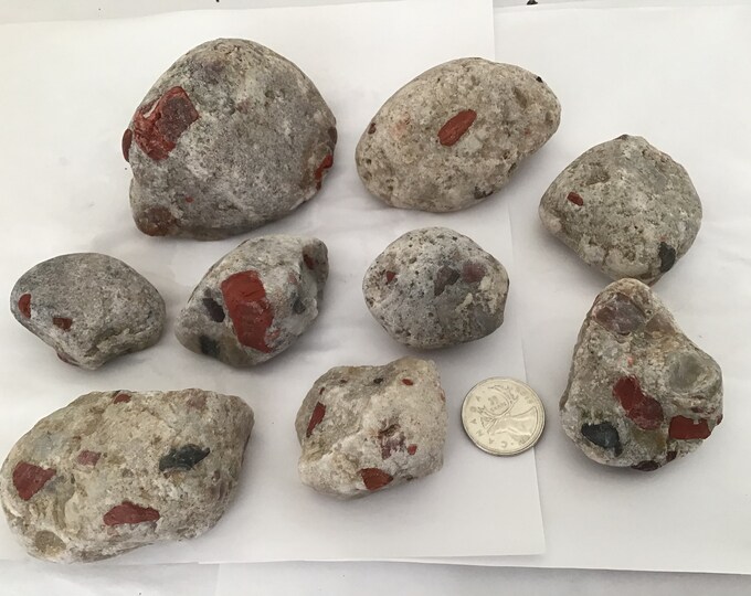 9 Pudding Stones Conglomerate Rocks - Etsy