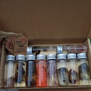 Mixed Mystery Lot Wet Specimens Insect Mammal Bird Aquatic. - Etsy