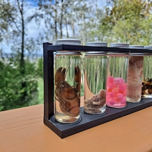 Mixed Mystery Lot Wet Specimens Insect, Mammal, Bird, Aquatic. 1, 2, 3 ...