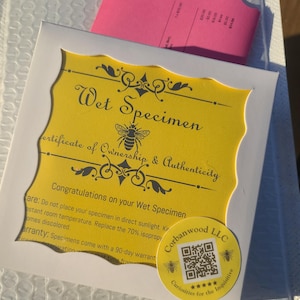 Mixed Mystery Lot Wet Specimens Insect, Mammal, Bird, Aquatic. 1, 2, 3 ...