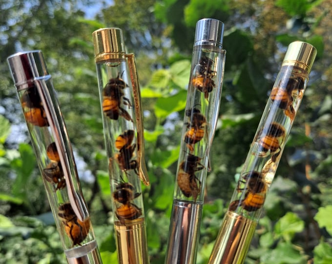 Honey Bee Specimen Ballpoint Pen - Etsy