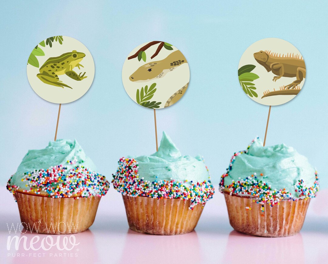 Snake Cupcake Toppers Birthday Girls Boys Cakes Reptile Jungle Hats ...