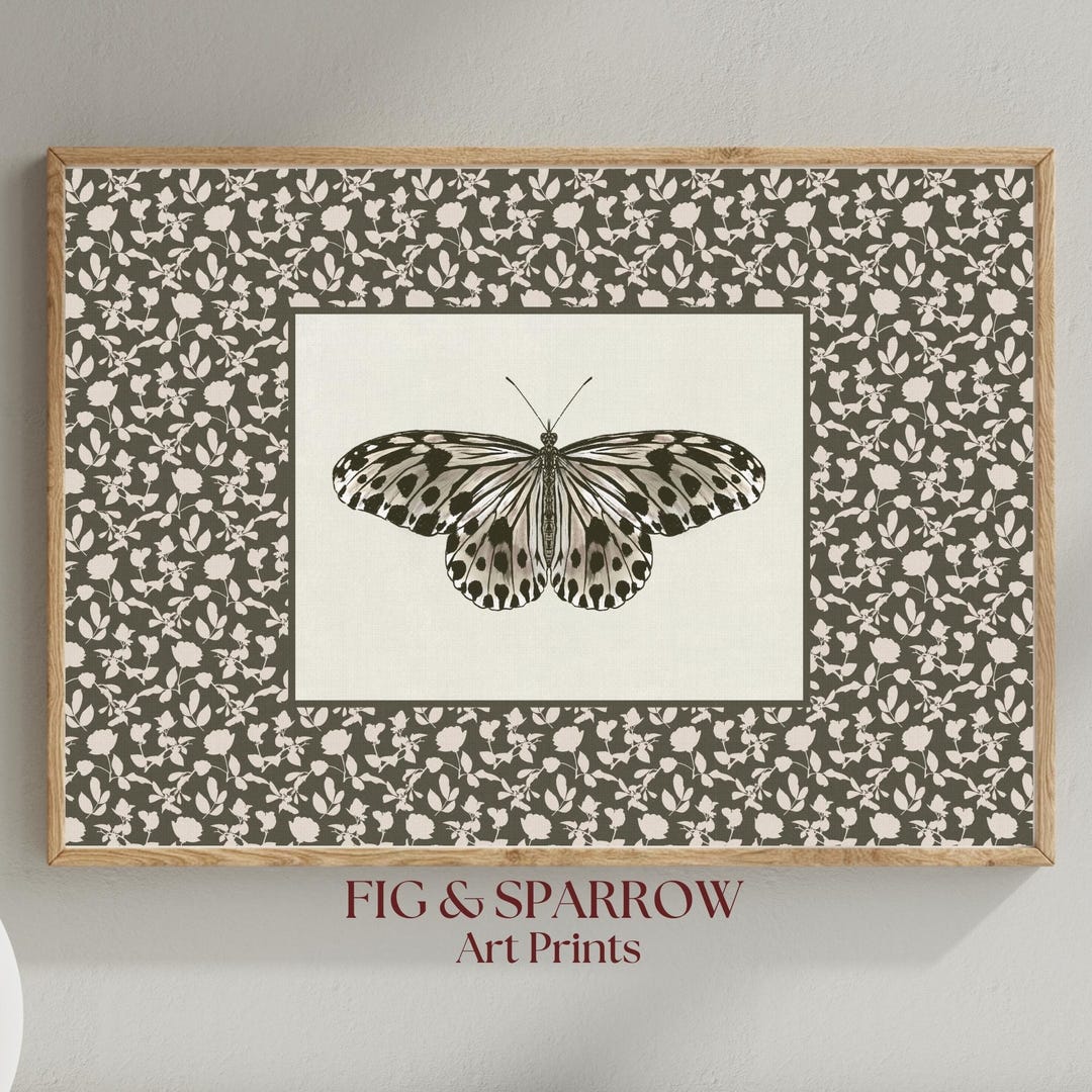 Vintage Butterfly Art Print: Cottagecore Insect Illustration (digital ...