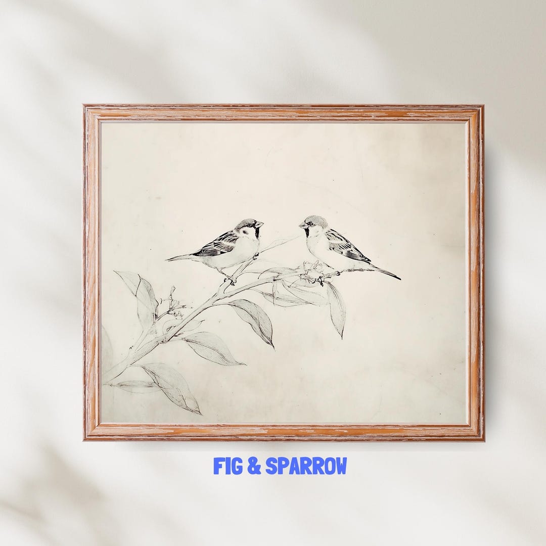 Sparrow Sketch Art Print: Vintage Bird Line Drawing (digital Download ...