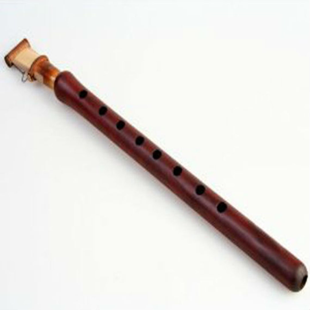 Duduk,Doodook,Doudouk Armenian Professional Instrument + Reed + Case ...