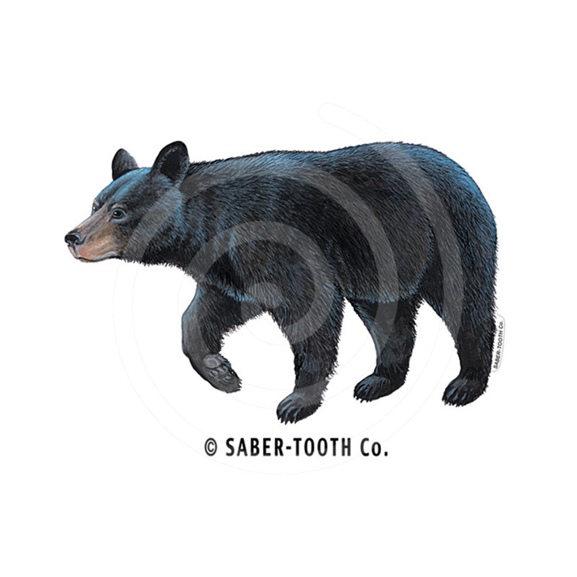 Black Bear Decal Sticker | Etsy