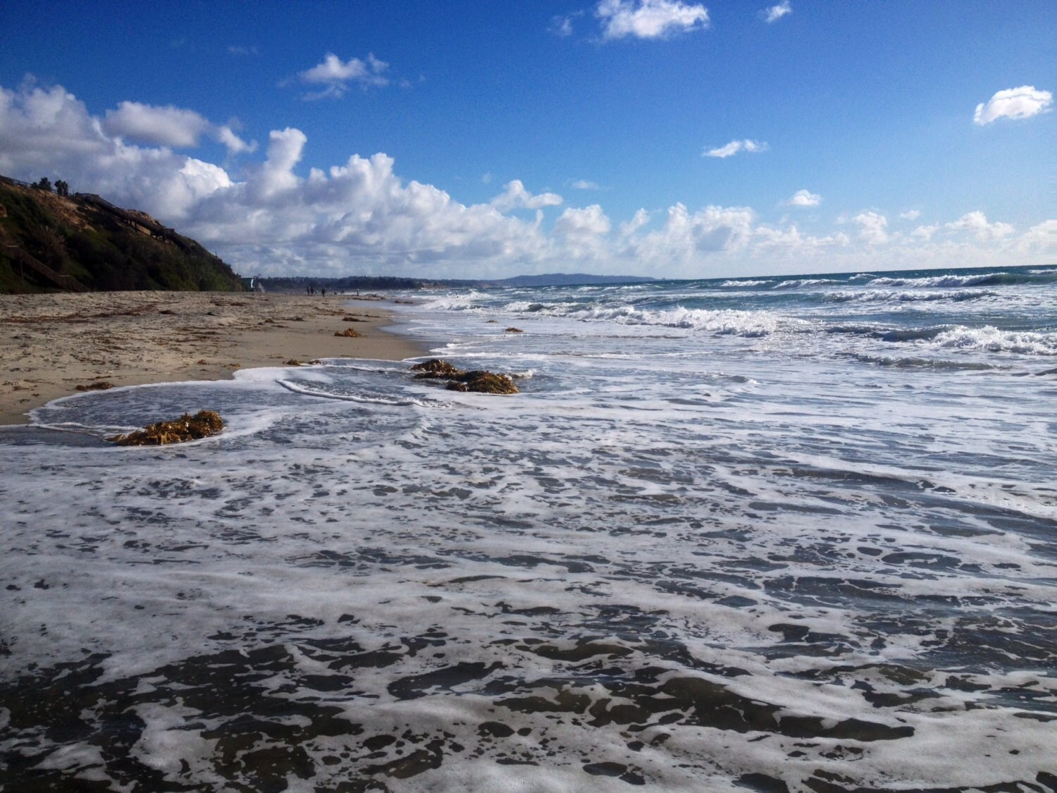 Set of 4 Authentic Pacific Driftwood & Living California - Etsy