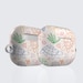 Line Art Turtles Limited-edition AirPod AirPod Pro Case Cover Cute ...