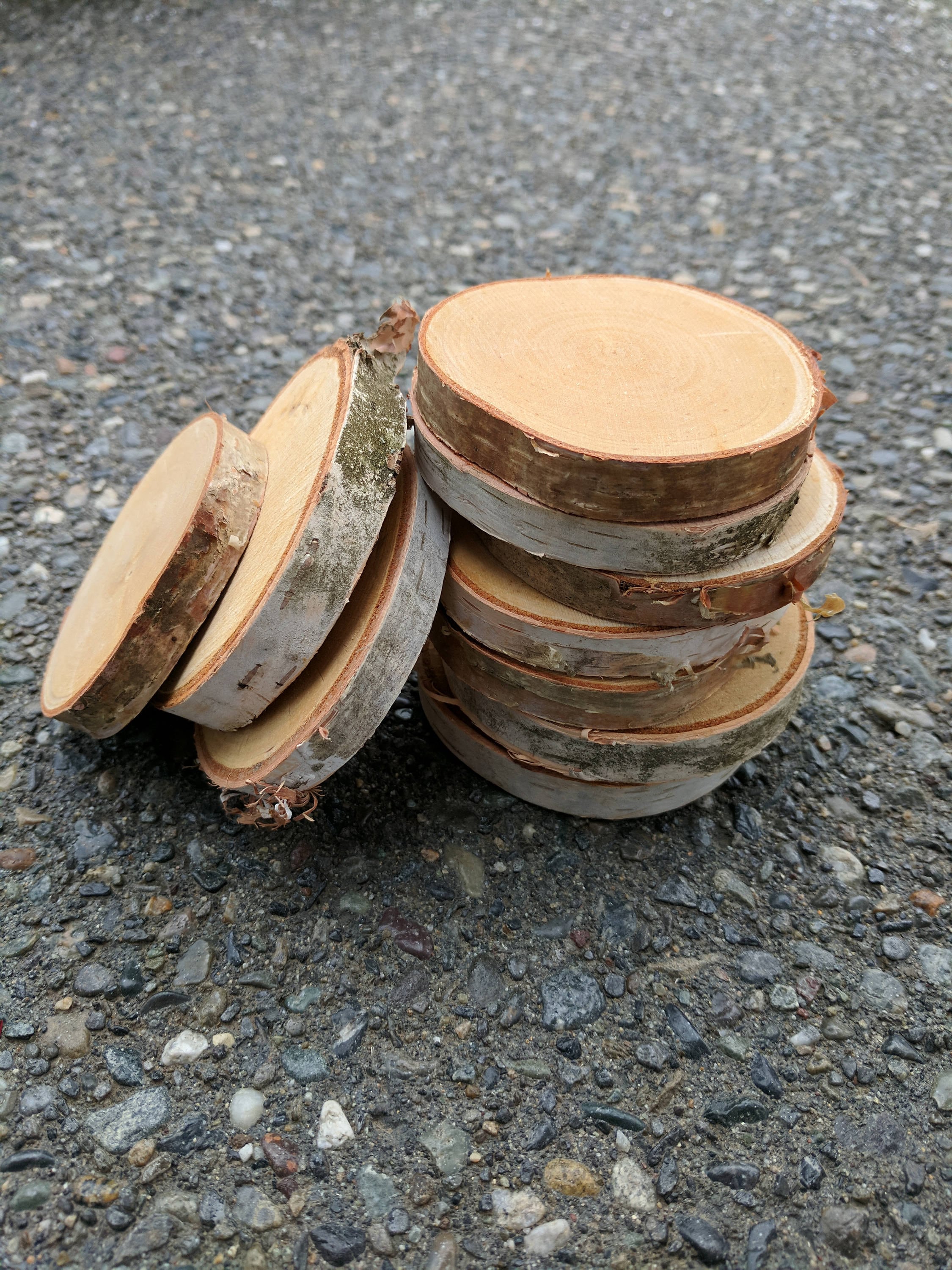 Birch Log Slices Birch Wood Slices Birch Craft Wood Wood Slices Tree ...