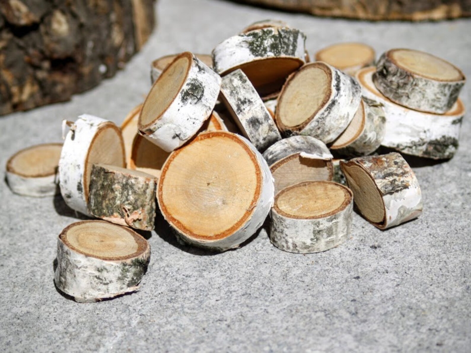 Birch Wood Slices Small Birch Slices Set of 25 - Etsy