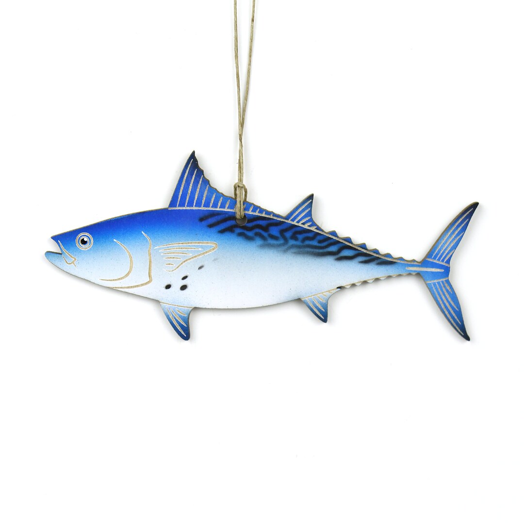 Little Tunny Bonita False Albacore Little Tuna Blue Bonito Fish ...