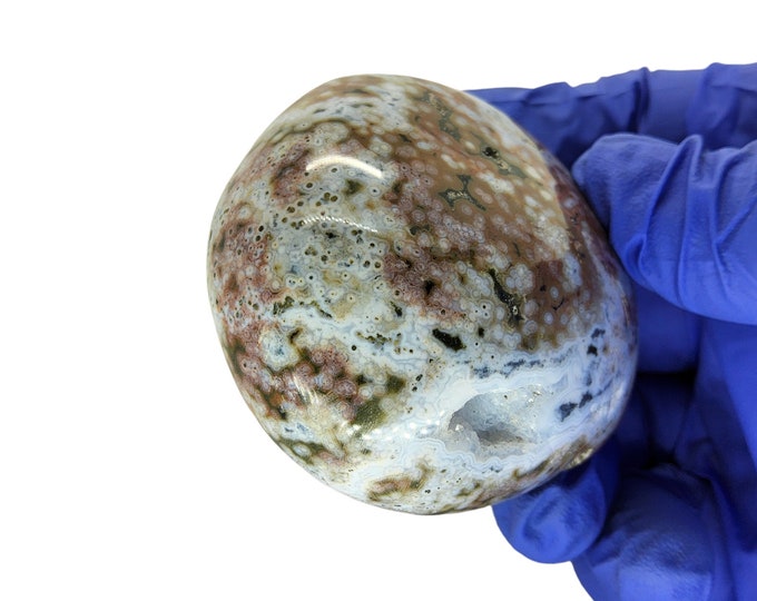 Sea Shell Orbs - Etsy