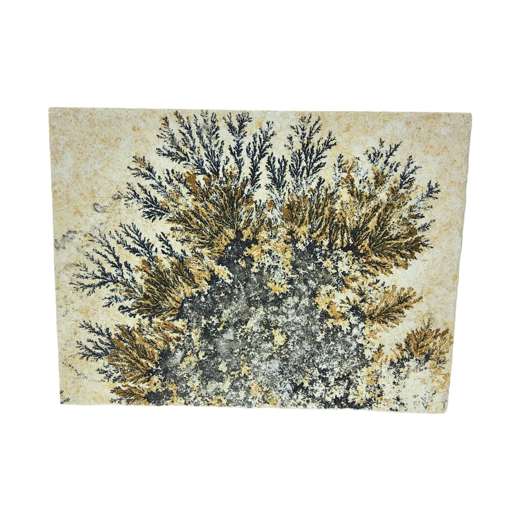 Dendritic Limestone, Slab, Cabbing Rough, Lapidary, #R-6459 - Etsy