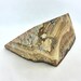 African Queen Picture Jasper, 2.5+ Lbs, Namibia, Landscape, Cabbing ...