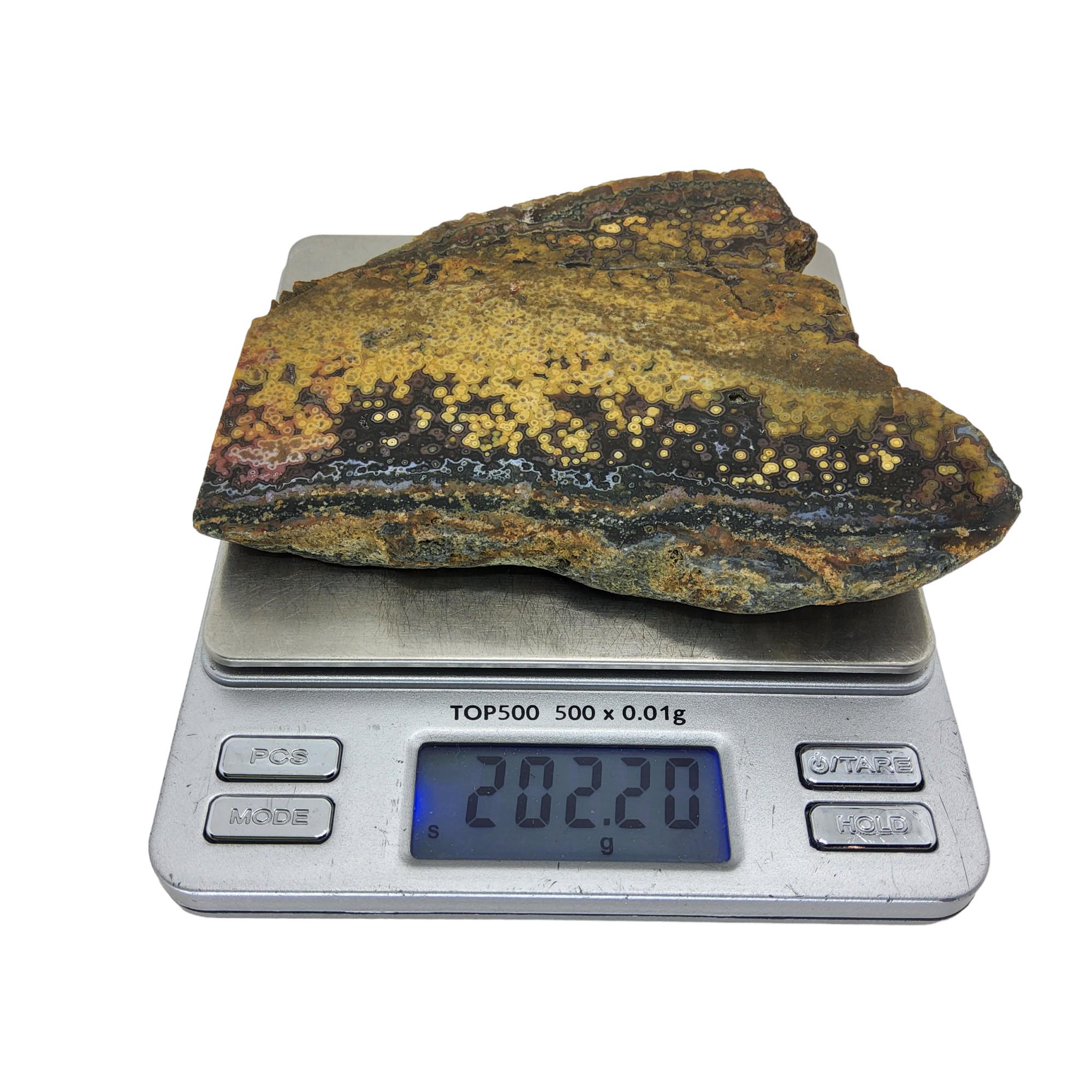 River Jasper, Slab, Polished, High Grade, Display, Specimen, #R-6201 - Etsy