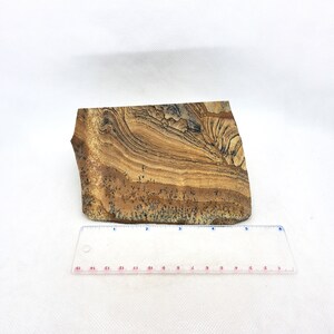 African Queen Picture Jasper, 2.5+ Lbs, Namibia, Landscape, Cabbing ...